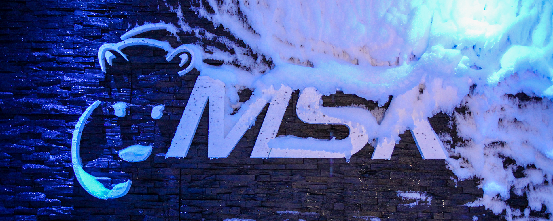 Home - MSK Group - MSK Group - Metzger